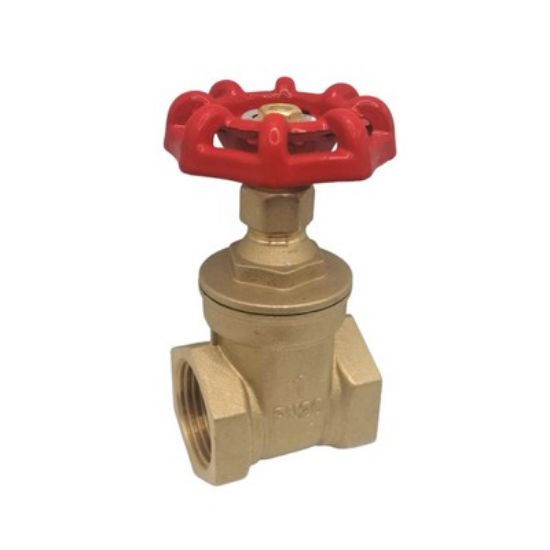 Landscape Watering Systems Limited. ¾" BSPF PN20 Brass Gate Valve with ...