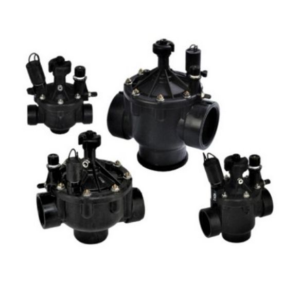 Landscape Watering Systems Limited. Toro P220 1" BSP female 24VAC ...